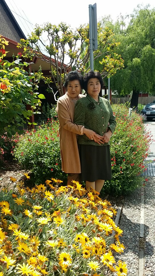 하모나장로교회